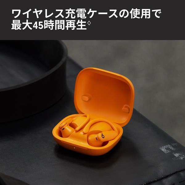Beats MX743PAA PowerBeats Pro2 完全ワイヤレスイヤホン ノイズ Beats MX743PAA PowerBeats Pro2 完全ワイヤレスイヤホン ノイズ