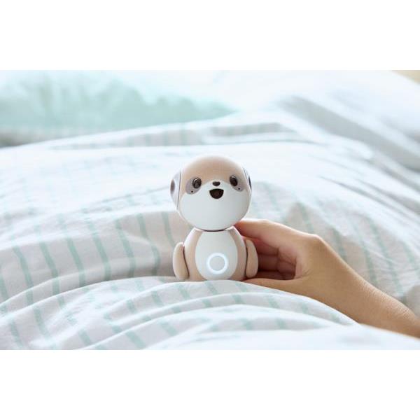 SHARP コンパニオンロボット ポケとも[対話AIを搭載したコンパニオンロボット] SR-C01M-W | ノジマオンライン